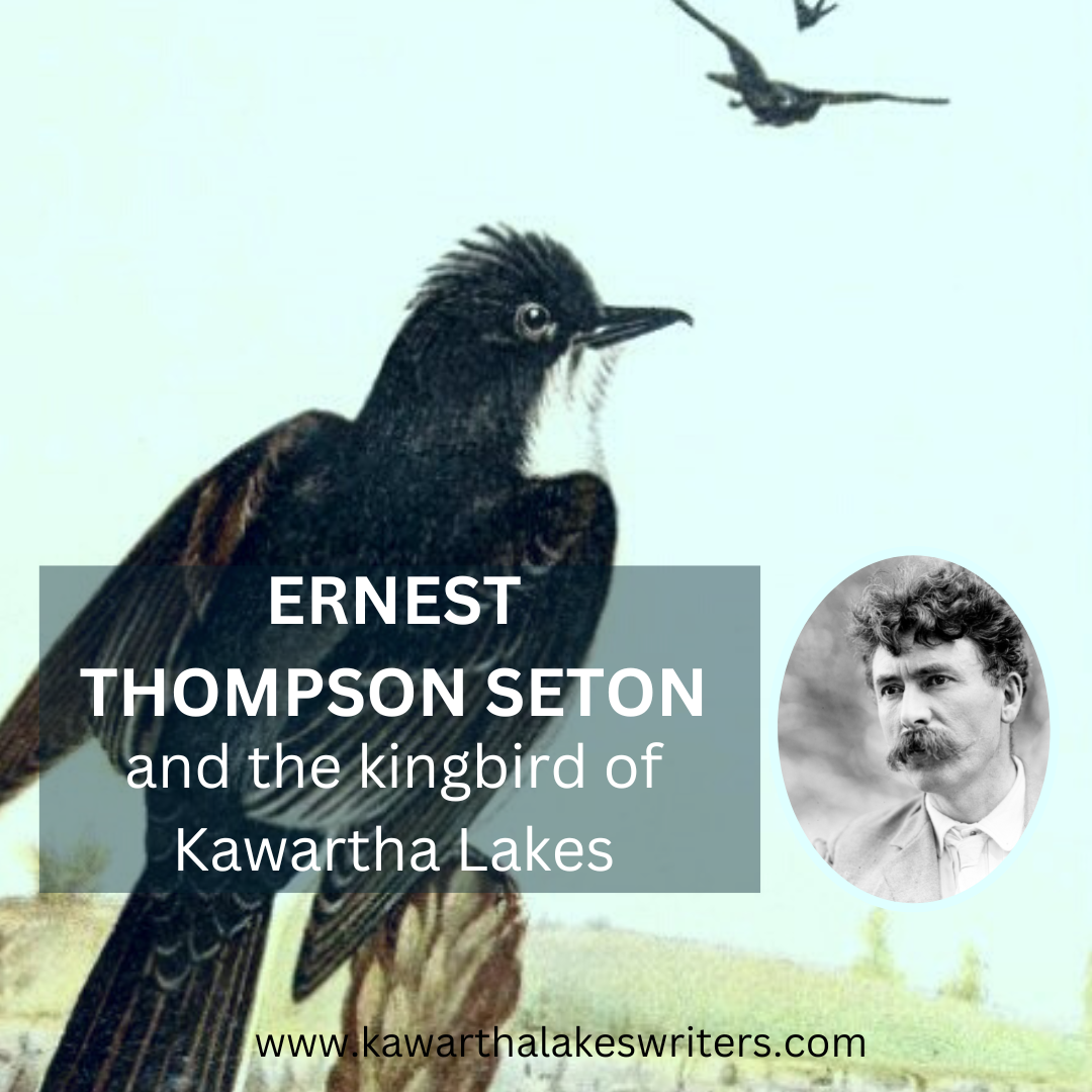 Ernest Thompson Seton and the kingbirds of Kawartha Lakes